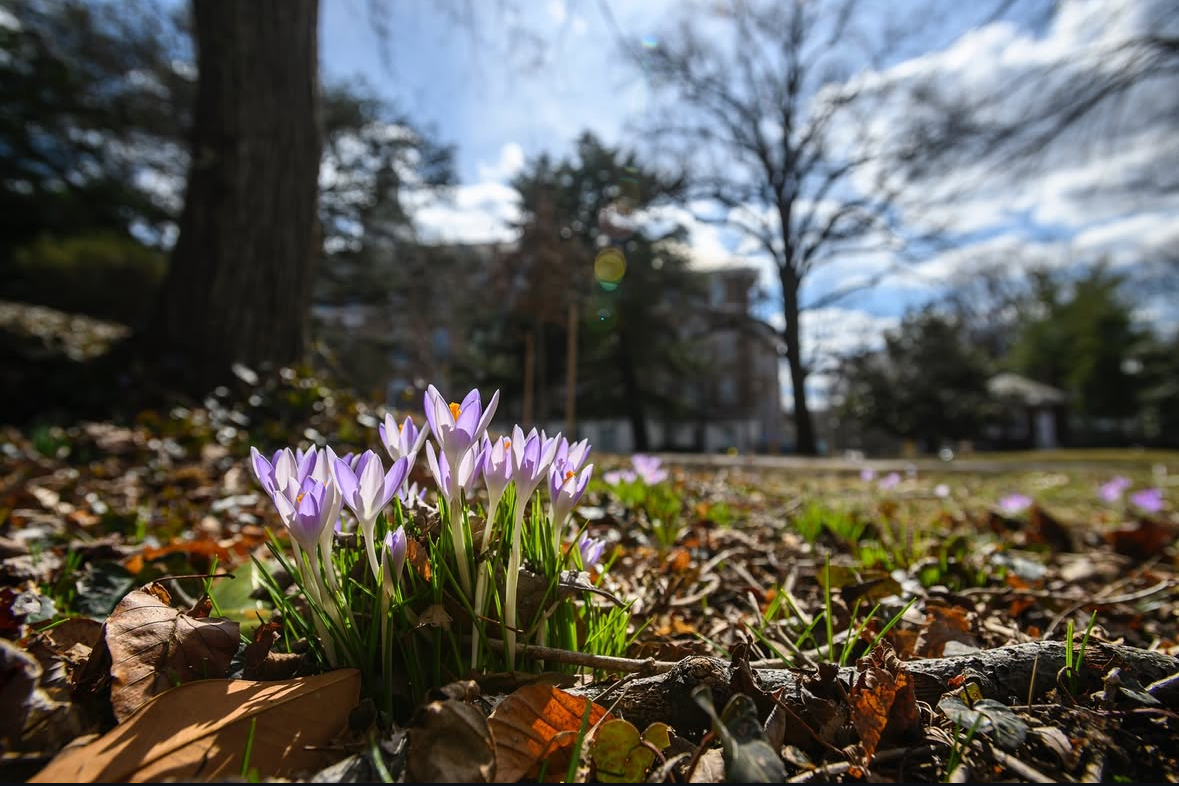 Digging Myself Out of a Creative Slump - Kahani